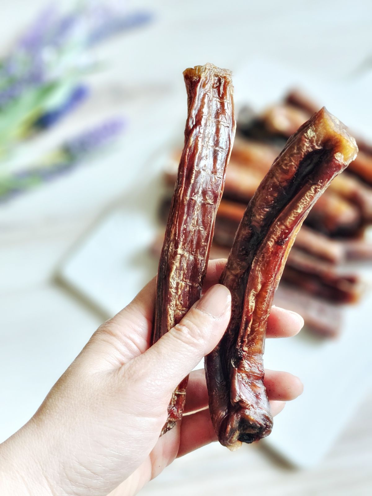 Beef Pizzle (Sticks, Loops, Short, – Naked Beasts