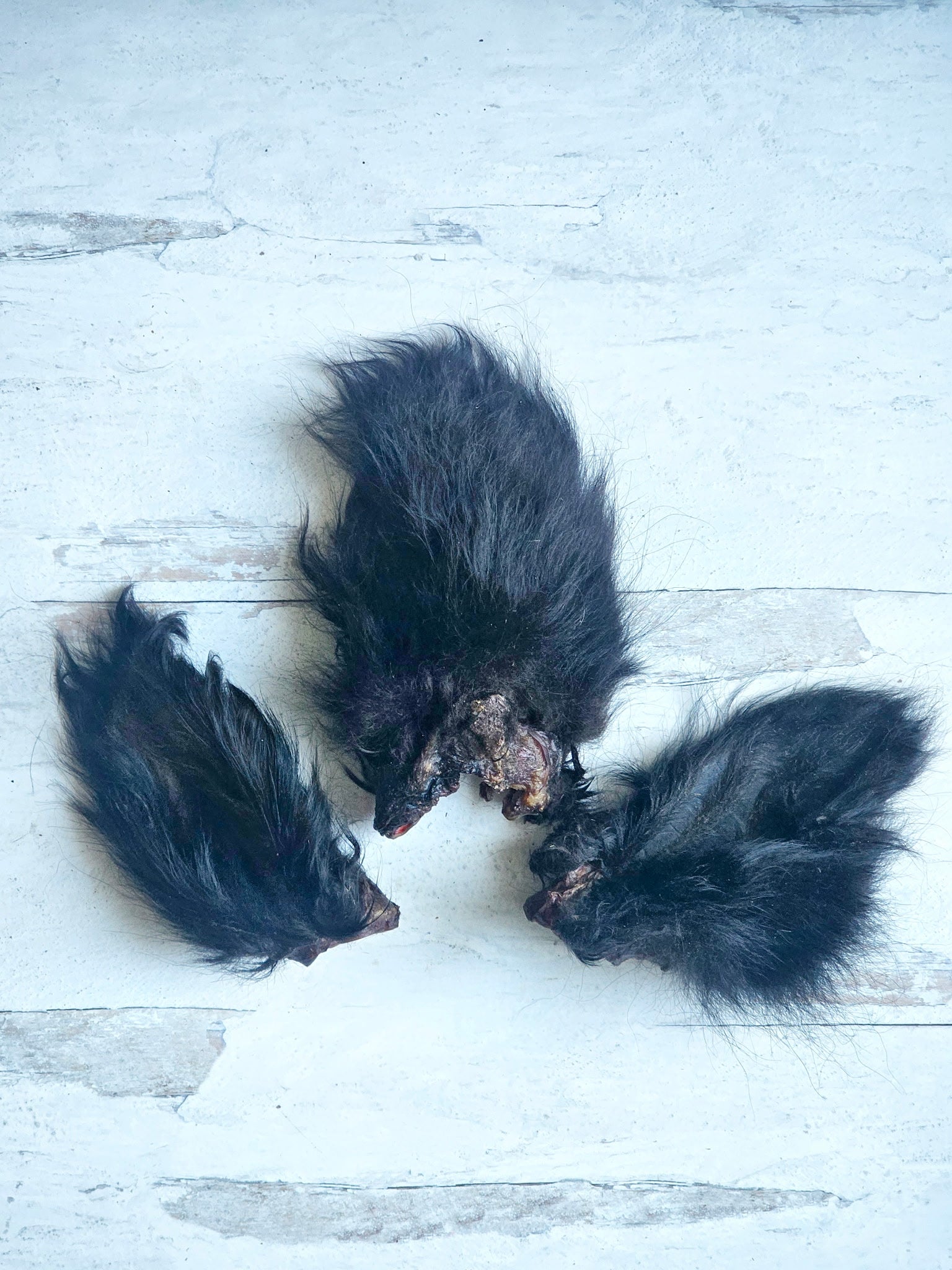 Bison Ear (Grass Fed & Finished) – Naked Beasts