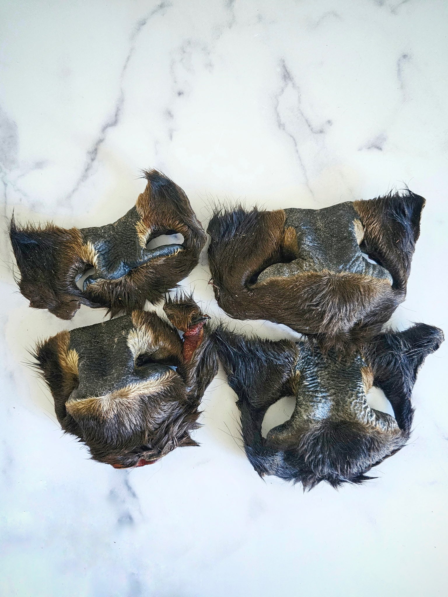 Bison Snout – Naked Beasts
